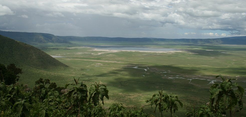Nick De Goede – Leading the Way for Transfrontier Conservation Areas in ...