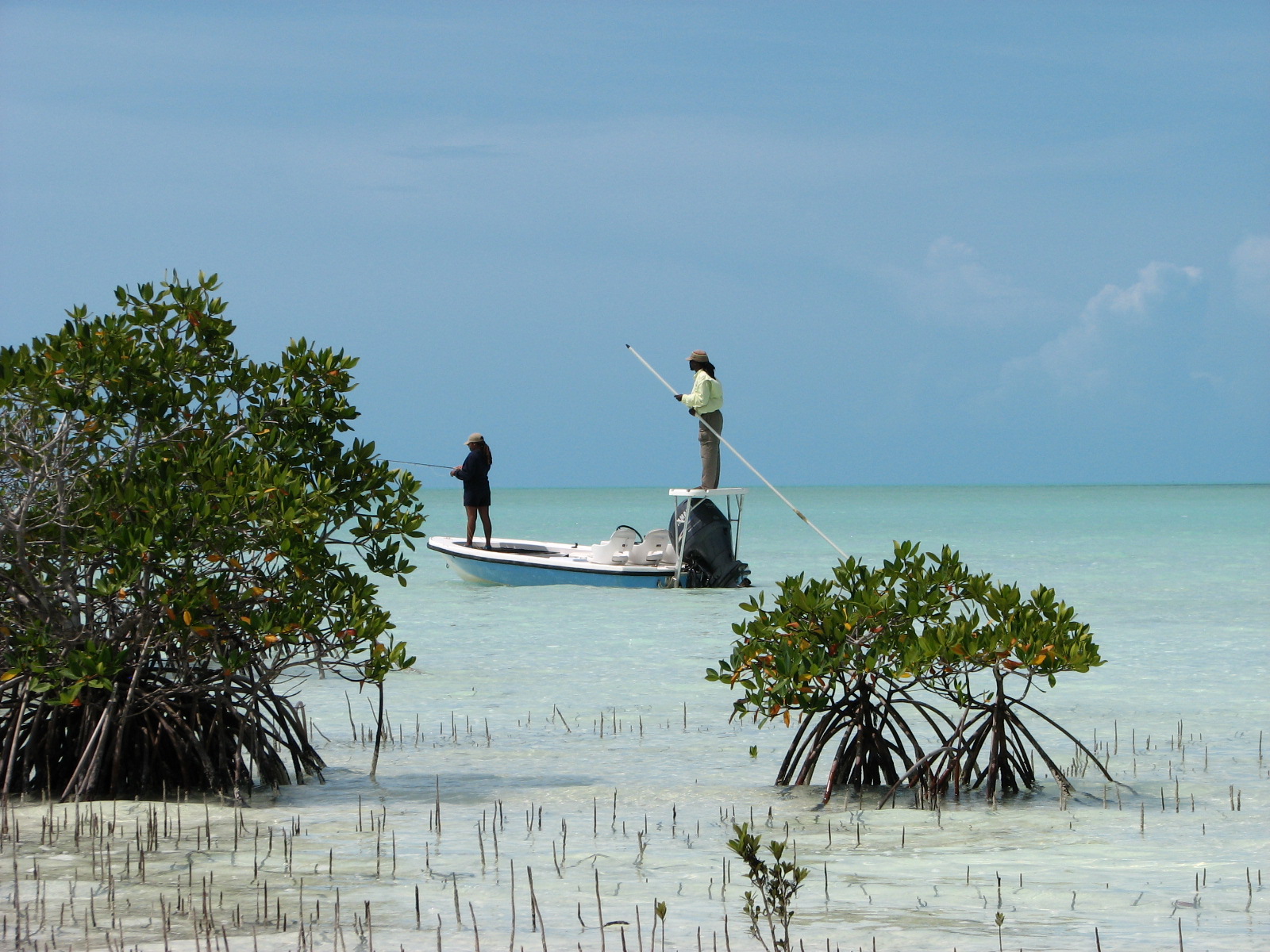 The Management Effectiveness Tracking Tool – learning opportunity - BIOPAMA