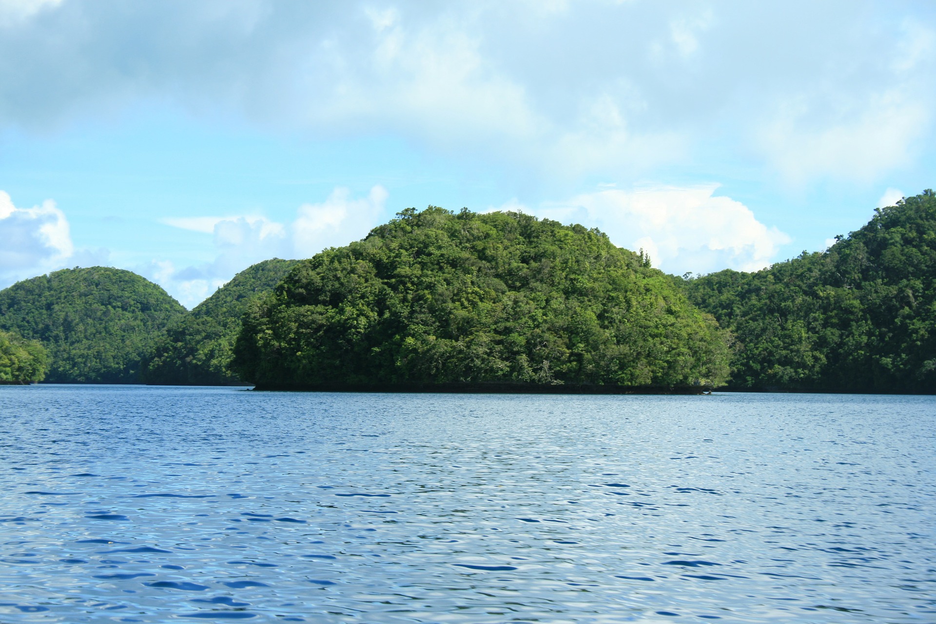 Improved information for Palau’s protected areas - BIOPAMA