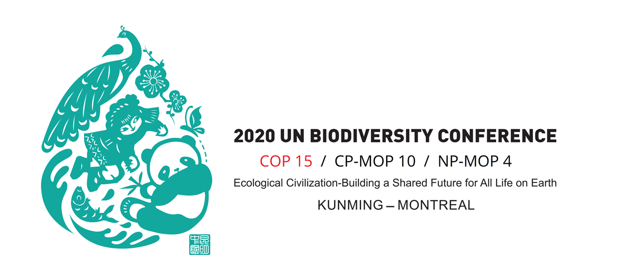 CBD COP15 Side Event – Regional centres in support of the post-2020 ...